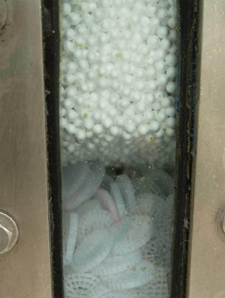 Biologically Active Filter for Wastewater Treatment Upgrades