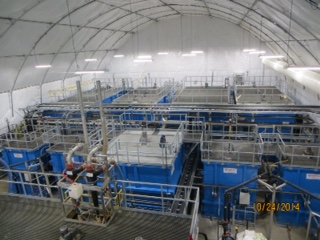 Remediation of Abandoned Mines Case Study | Veolia