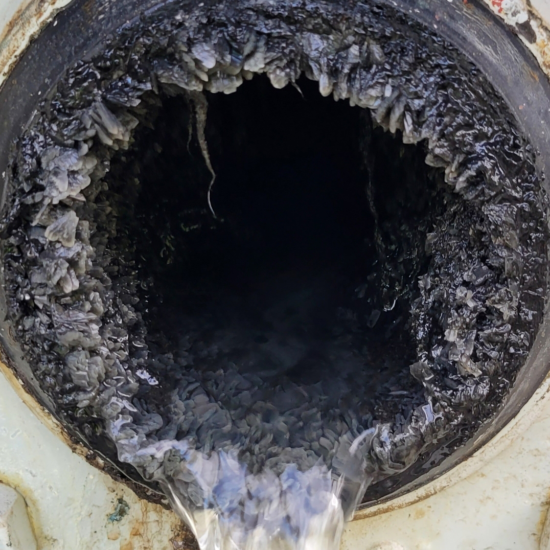 Struvite Removal - Municipal Site Challenged with Struvite Scaling